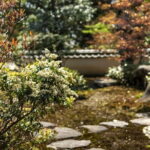 Discover the Charms of Fukuoka - Additional Inclusions and Practical Details