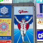 Discover the Hidden Gem of Osaka's Private Walking Tour - Logistics and Practicalities