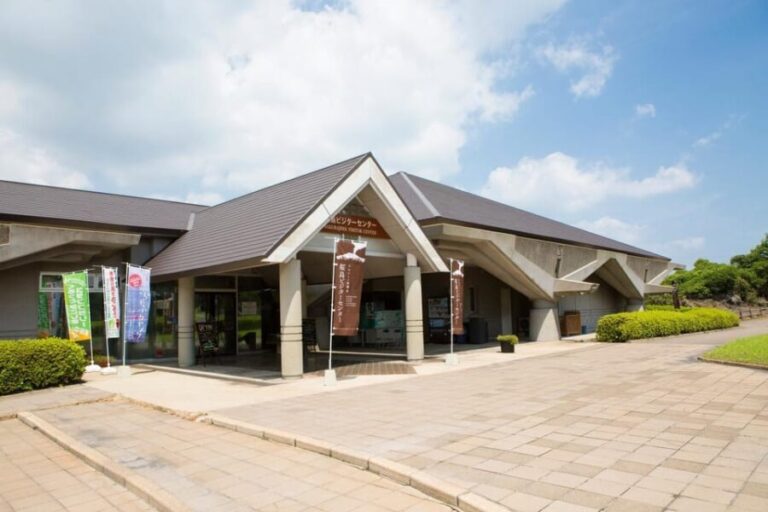 Discover the Wonder of Sakurajima Half Day Tour in Kagoshima - Authentic Experiences That Make a Difference