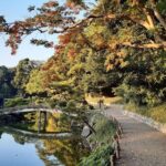 Discover the wonders of Edo Tokyo on this amazing small group tour! - FAQ