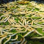 Discover Traditional Silk Process in Hoi An Silk Village - Why Visit Hoi An Silk Village? The Cultural Significance