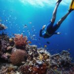 Discover UnderWater Blue Lagoon with this Snorkeling - Who Will Love This Tour?