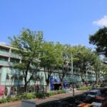 Discover your Tokyo -Private Tokyo Customized Walking Tour- - A Deep Dive into the Itinerary