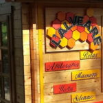 Discovering Bees in Volterra - Who Is This Tour Best For?