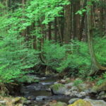 Discovering Sake Migaki - The Sum Up