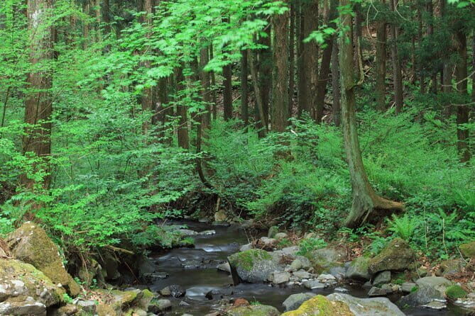 Discovering Sake Migaki - The Sum Up