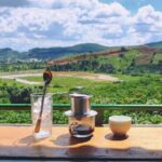 Discovering the Beauty of Da Lat Countryside - Natural Wonders: Pongour and Elephant Waterfalls