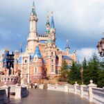DisneyLand/Sea Ticket & Private Morning Ride from Hotel in Tokyo! - Practical Tips and Recommendations