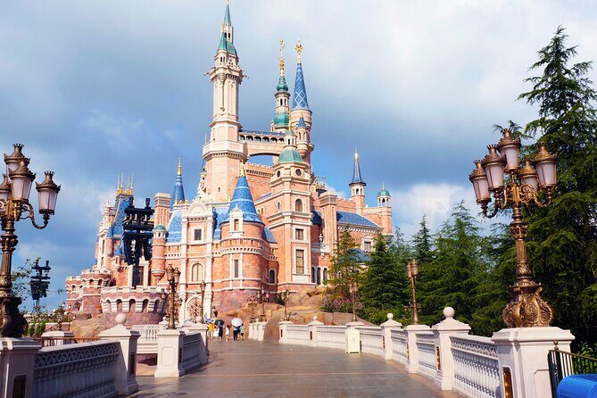 DisneyLand/Sea Ticket & Private Morning Ride from Hotel in Tokyo! - Practical Tips and Recommendations