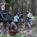 Dive deep into the wild wonders of Sundarban. - What Past Travelers Say