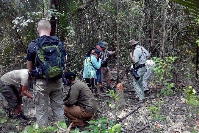 Dive deep into the wild wonders of Sundarban. - What Past Travelers Say