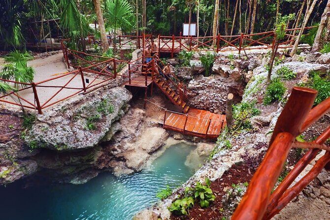 Dive Into Paradise: Cenote Tour - In-Depth Analysis of the Itinerary