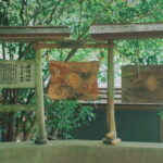 Divine Footsteps & Anime Locations: Takachiho One Day Bus Tour - Who Will Enjoy This Tour?