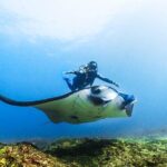 Diving in Nusa Penida - The Sum Up: Who Should Book This Tour?
