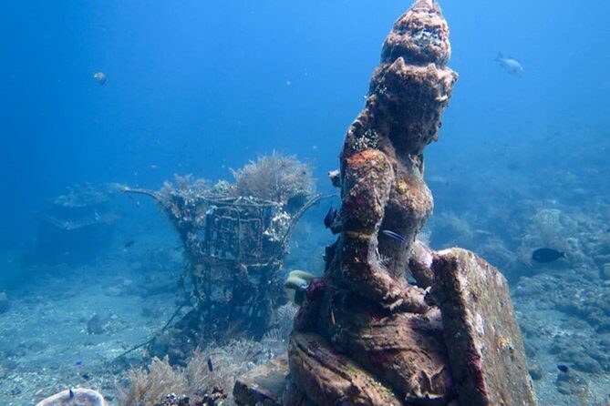 Diving in Tulamben - What Makes This Tour Stand Out?