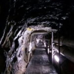 DMZ Tour and Leeum Museum - Who Will Love This Tour?