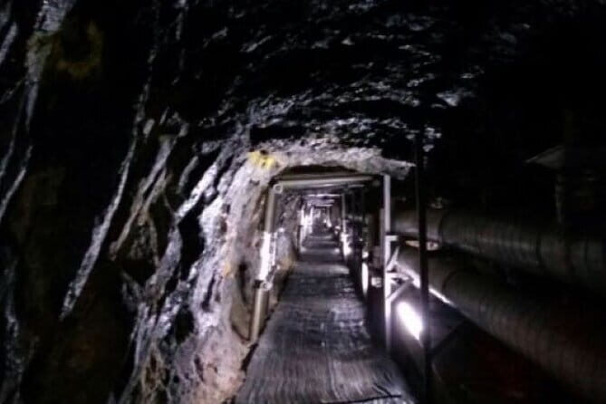 DMZ Tour and Leeum Museum - Who Will Love This Tour?