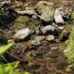 Do Dham Yatra (Kedarnath & Badrinath) - Final Thoughts: Is It Worth It?