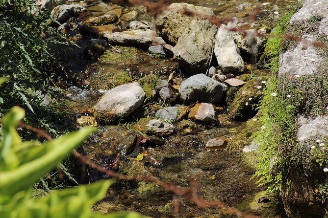 Do Dham Yatra (Kedarnath & Badrinath) - Final Thoughts: Is It Worth It?