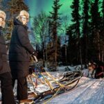 Dog Sledding and Northern Lights Combo Night - What’s Included and What’s Not