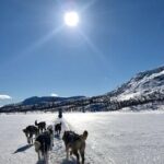 Dogsledding in the Heart of Alaska - Final Thoughts: The Authentic Alaska Dogsledding Experience