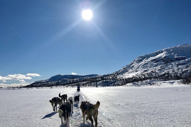 Dogsledding in the Heart of Alaska - Final Thoughts: The Authentic Alaska Dogsledding Experience