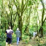 Doi Inthanon National Park, Waterfall & Royal Project Day Tour From Chiang Mai - Waterfalls: Wachirathan and Sirithan