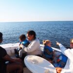 Dolphin cruise in Santa Rosa Beach - What Past Participants Say