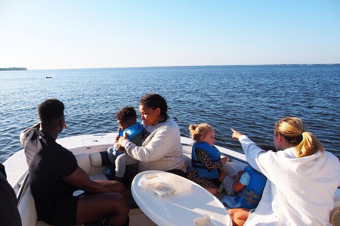 Dolphin cruise in Santa Rosa Beach - What Past Participants Say