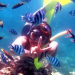 Dolphin Watching Tour, Swimming with Dolphins and Snorkeling - FAQ