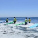 Double lion surfing in foreign Australia, the first choice for high-quality teaching experience - Meeting Point and Timing