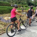 Downhill Cycling Tour through jungle and rice terrace meals - The Itinerary Breakdown