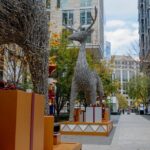 Downtown DC Holiday Tour: Lights, Decorations & Festive Cheer - Practical Details and What to Expect