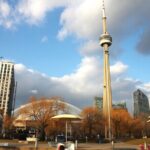 Downtown Toronto Layover Private Tour - What to Expect and What You Might Miss