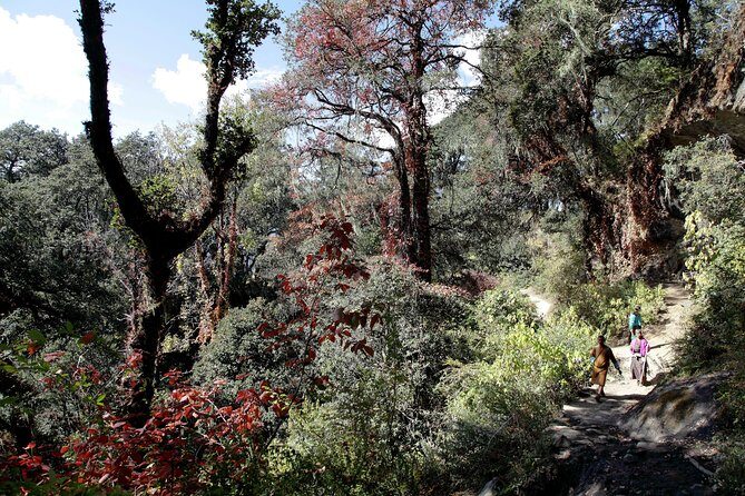 Druk Path Trek: Discover The Raw Natural Beauty of Bhutan - The Itinerary: A Day-by-Day Breakdown