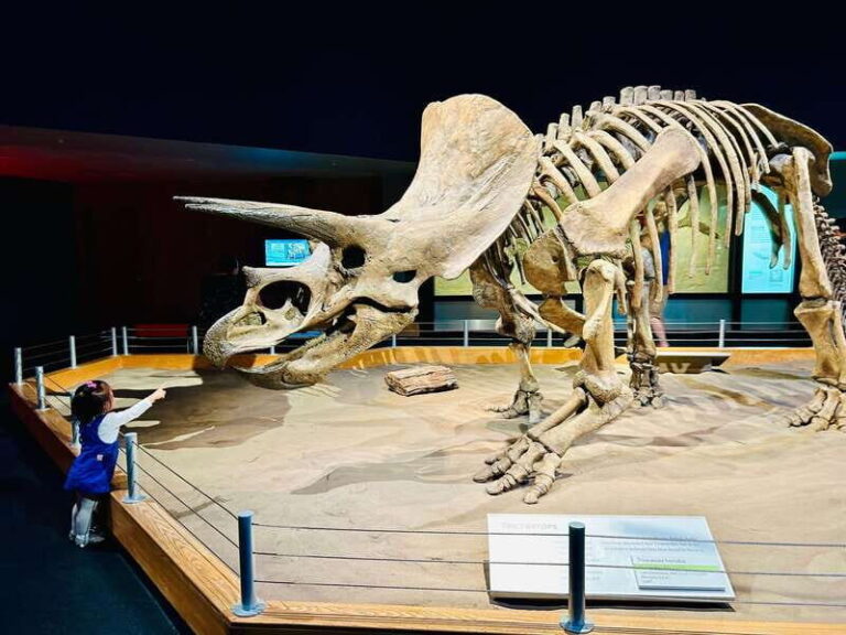 Drumheller Full-day Private Sightseeing Tour - Who Should Book This Tour?