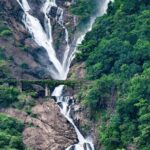 Dudhsagar Waterfalls, Jeep Safari & Spice Plantation private tour - Who Should Consider This Tour?