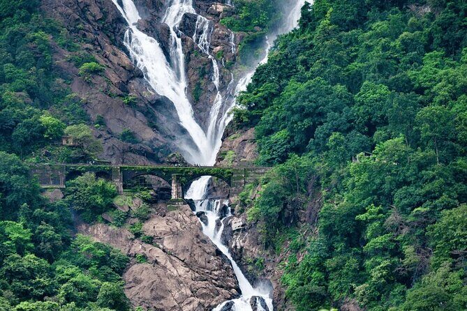 Dudhsagar Waterfalls, Jeep Safari & Spice Plantation private tour - Who Should Consider This Tour?