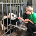 Dujiangyan Panda Base Volunteer Experience Trip - What Past Volunteers Say