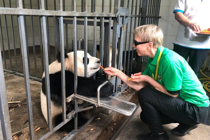 Dujiangyan Panda Base Volunteer Experience Trip - What Past Volunteers Say