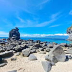 Dumaguete: Apo Island Snorkeling and Hiking Joiners Tour - Value and Practical Tips