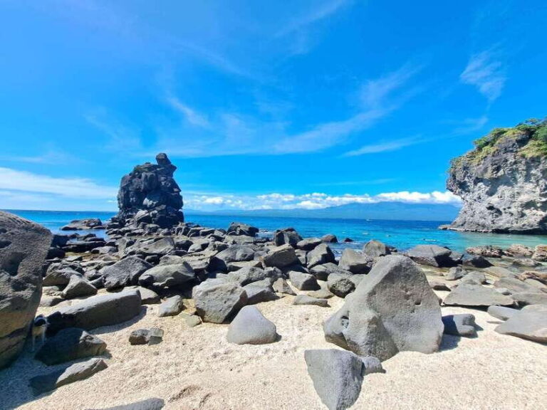 Dumaguete: Apo Island Snorkeling and Hiking Joiners Tour - Value and Practical Tips