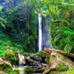 Dumaguete: Forest Camp and Casaroro Falls Day Trip - Value and Practicality