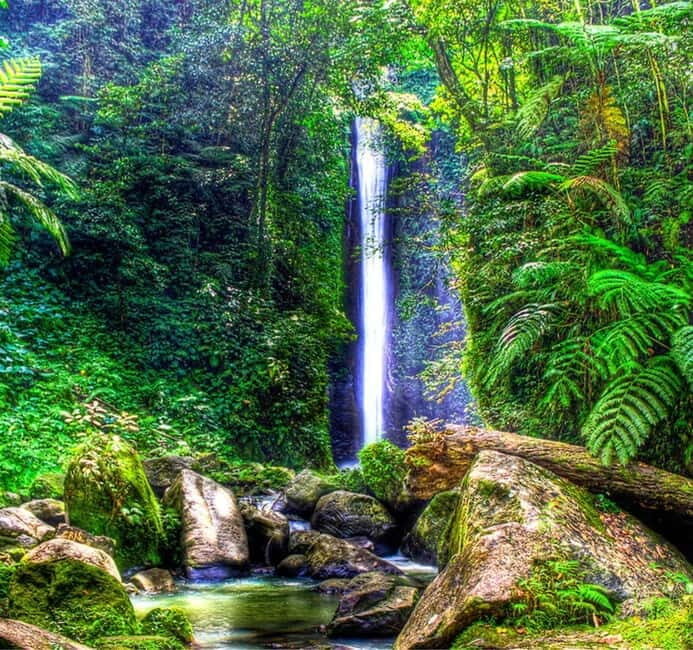 Dumaguete: Forest Camp and Casaroro Falls Day Trip - Value and Practicality