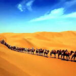 Dunhuang: Mingsha Mountain, Crescent Lake & Museum Tour - Mingsha Mountain: Sand Dunes and Adventure