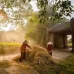 Duong Lam Ancient Village Private Tour: Ancient Vestage, Fortress - What Travelers Are Saying