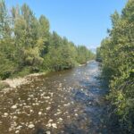 E-Bike Salmon Adventure - Who Will Love This Tour?