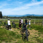 E-bike Tuscany and Chianti Self-Guided Tour with Farm Visit - Practical Details and What to Expect