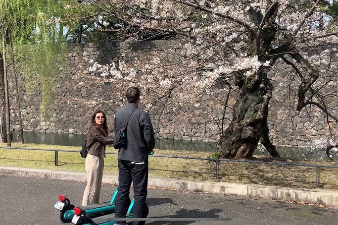 E-scooter Tour with a Private Guide Tokyo - Who This Tour Is Best For