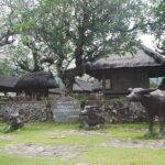 East Bali and Lempuyang Temple Tour - Who Should Consider This Tour?